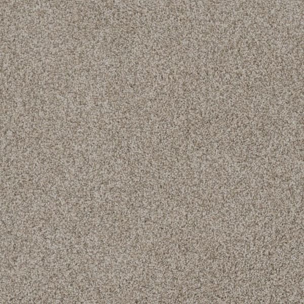Home Decorators Collection 8 in. x 8 in. Texture Carpet Sample ...