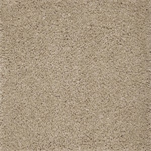 Mohawk 8 in. x 8 in. Texture Carpet Sample - Appreciate II - Color ...