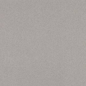 Wilsonart 5 ft. x 10 ft. Laminate Sheet in Platinum with Matte Finish ...
