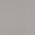 Wilsonart 5 ft. x 8 ft. Laminate Sheet in Grey Glace with Matte Finish ...