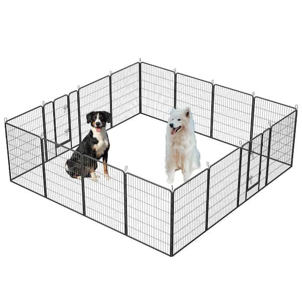 32 in. W x 40 in. H Black Steel Decorative Garden Fence, Heavy Duty Dog ...