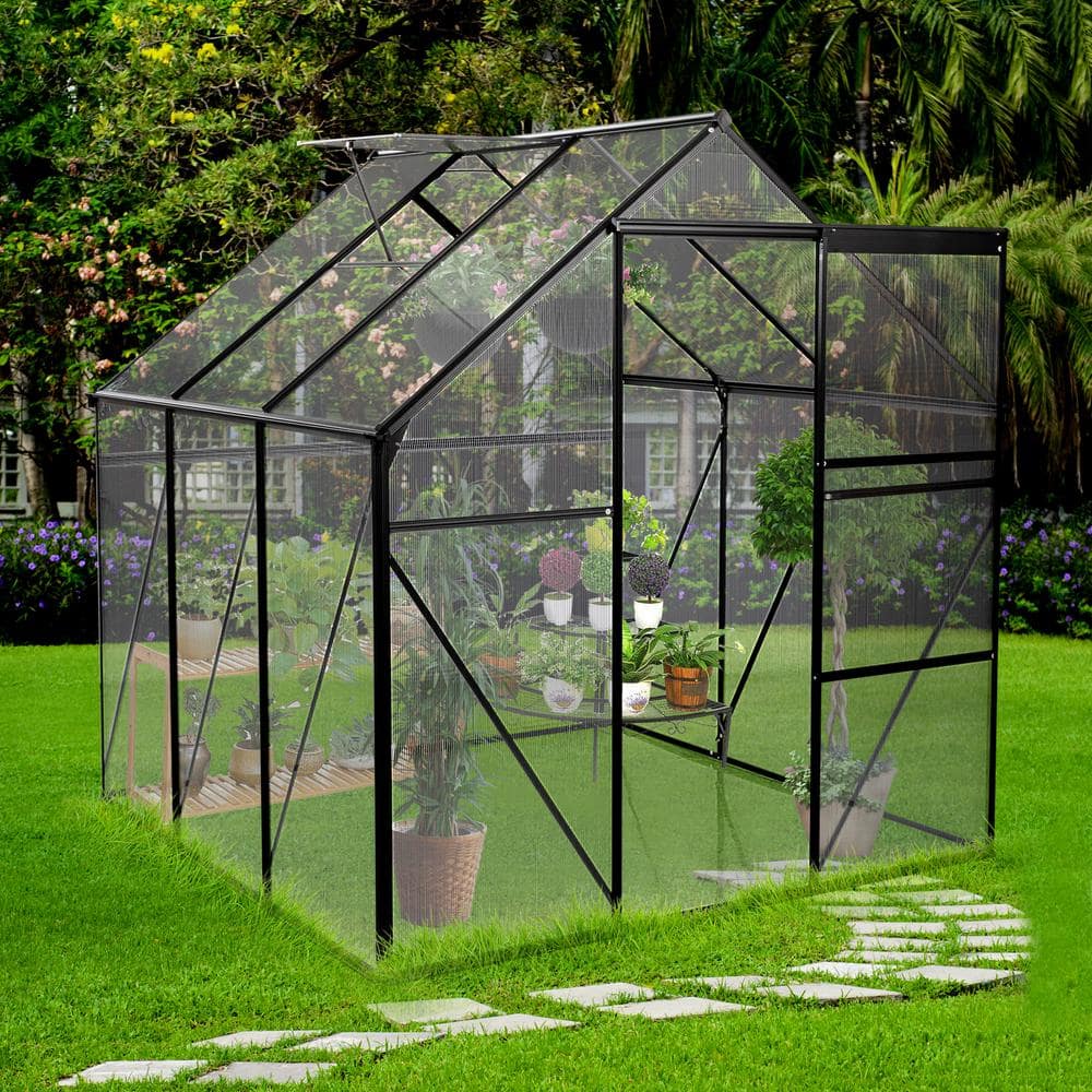 Boosicavelly 6 ft. x 6 ft. Outdoor Black Polycarbonate Greenhouse ...