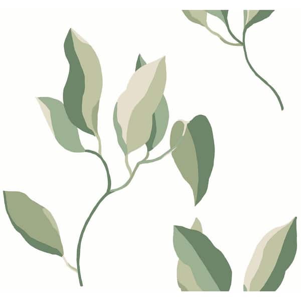 York Wallcoverings Green Brushwork Branches Leaf Wallpaper ZM2872 - The ...