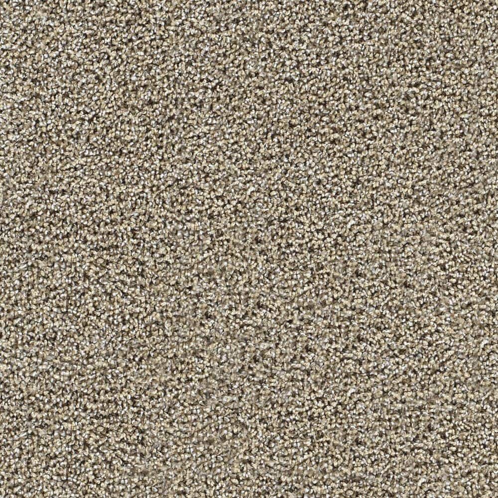 TrafficMaster Royal Retreat - Oat - Brown 12 ft. 30 oz. Polyester ...