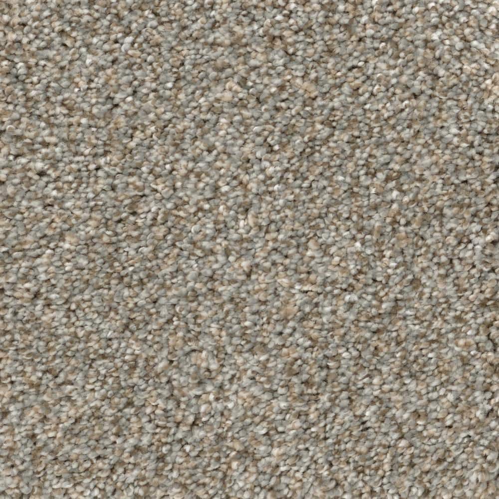 Home Decorators Collection 8 in. x 8 in. Texture Carpet Sample ...
