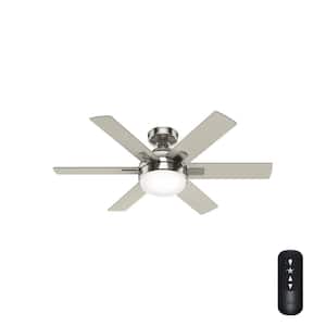 Hunter Pacer 44 in. Indoor Indigo Blue Ceiling Fan with Light Kit and ...
