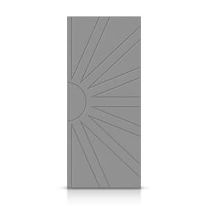 CALHOME 24 in. x 80 in. Hollow Core Charcoal Gray Stained Composite MDF ...