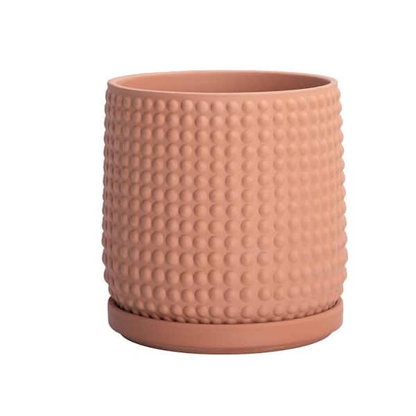 Large Terracotta Indoor/Outdoor Planter with Tray(5.8 in. W x 6.5 in. H ...