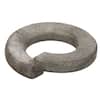 Everbilt 1/2 in. Galvanized Lock Washer 804176 - The Home Depot