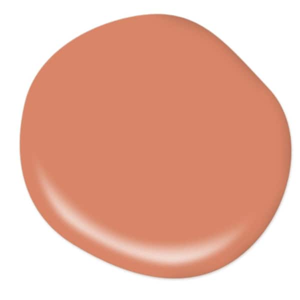 Dark Salmon Paint Color