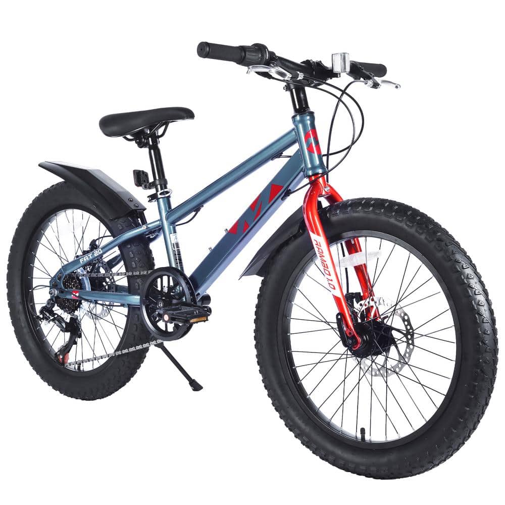 Zeus & Ruta 20 in. Grey Steel Kids Bicycles, Fat Tire Mountain Bike ...