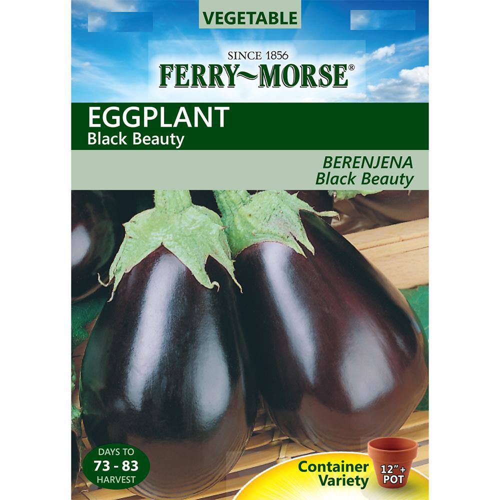 Ferry-Morse Eggplant Black Beauty Vegetable Seed 7311 - The Home Depot