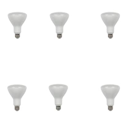 R30 - LED Light Bulbs - Light Bulbs - The Home Depot