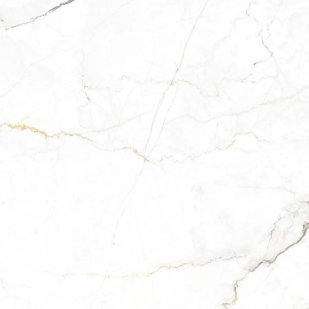Apollo Tile Splendor 4 in. x 4 in. Matte Gray Beige Porcelain Veining ...