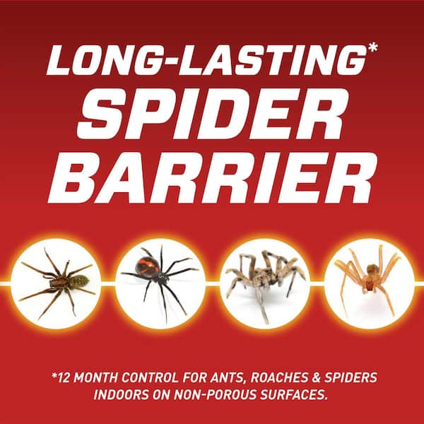 Ortho Home Defense Insect Killer for Indoor and Perimeter 2 with ...