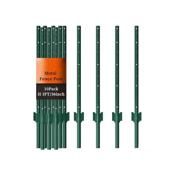 Justincity 3.74 L x 3.66 W x 36 H Green Metal No Dig Decorative ...