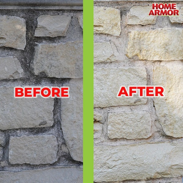 Home Armor 64 oz. Liquid Outdoor Multiple Surface Cleaner Removes Algae ...