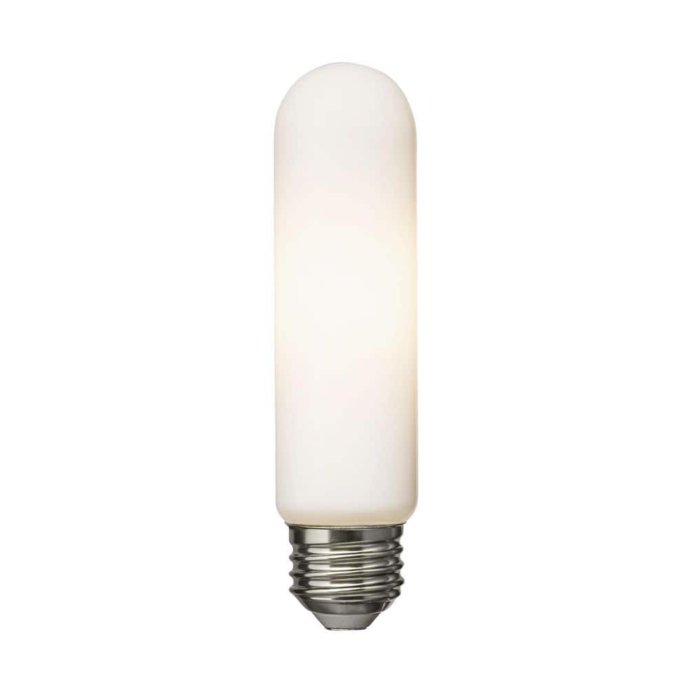 Generation Lighting 4-Watt Equivalent T10 Shape E26 Base Soft White ...
