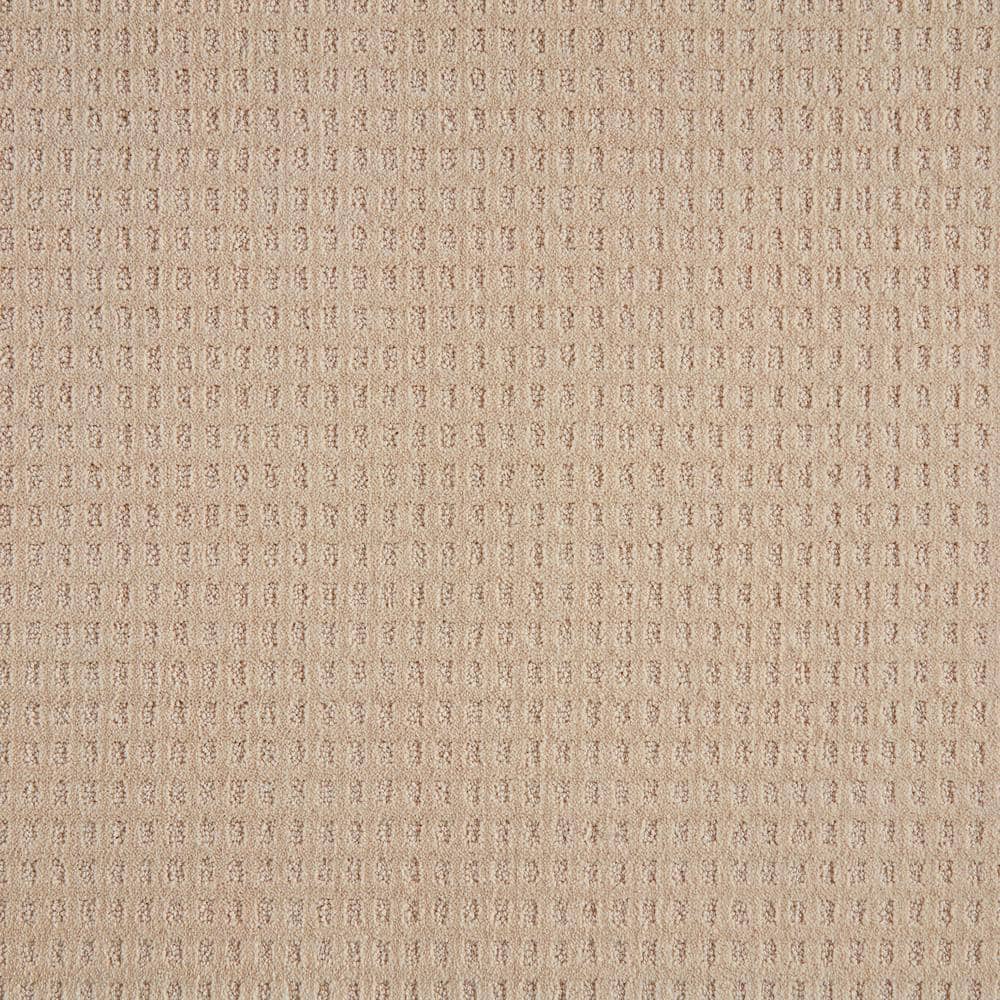 Reviews for Lifeproof with Petproof Technology Canter - Gypsy Moth ...