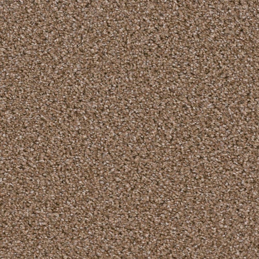 TrafficMaster 8 in. x 8 in. Texture Carpet Sample - Added Value -Color ...