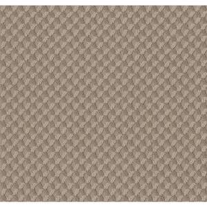 Shaw 8 in. x 8 in. Pattern Carpet Sample - Exquisite - Color Academy SH ...