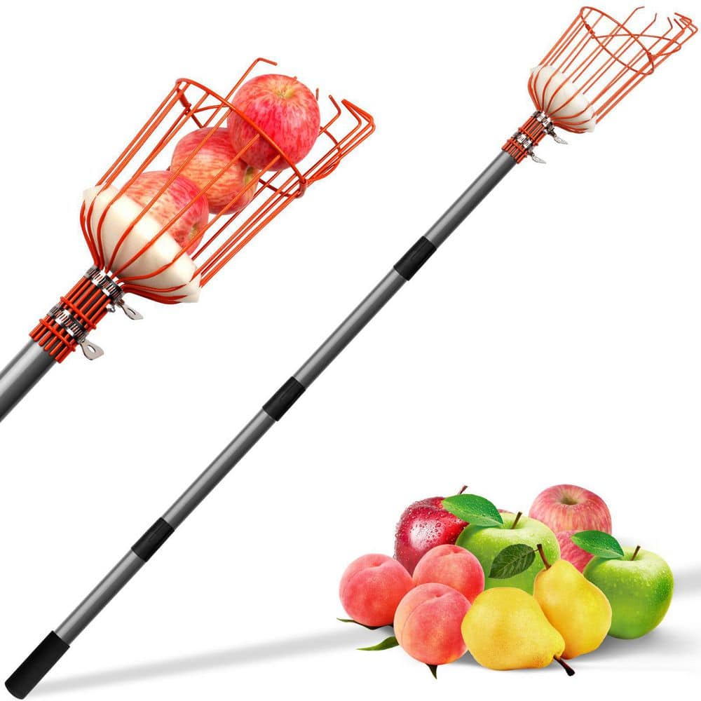 WaLensee 96 in. Stainless Steel Handle Fruit Picker FP-002 - The Home Depot