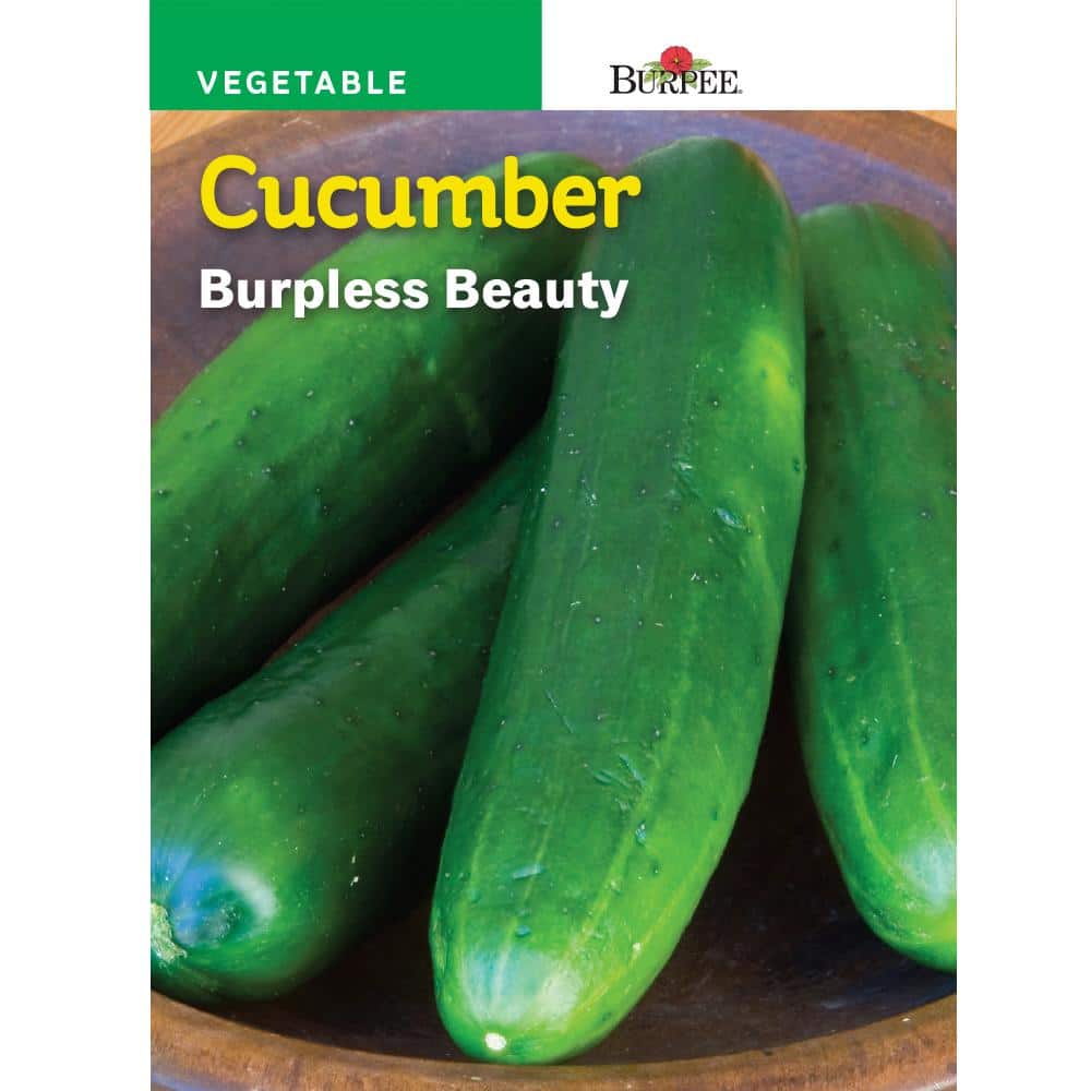 Burpee Cucumber Burpless Beauty 52178 - The Home Depot