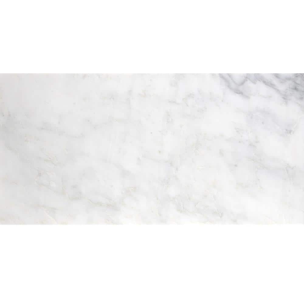 EMSER TILE Winter Frost Classico 12 in. x 24 in. Marble Floor and Wall ...