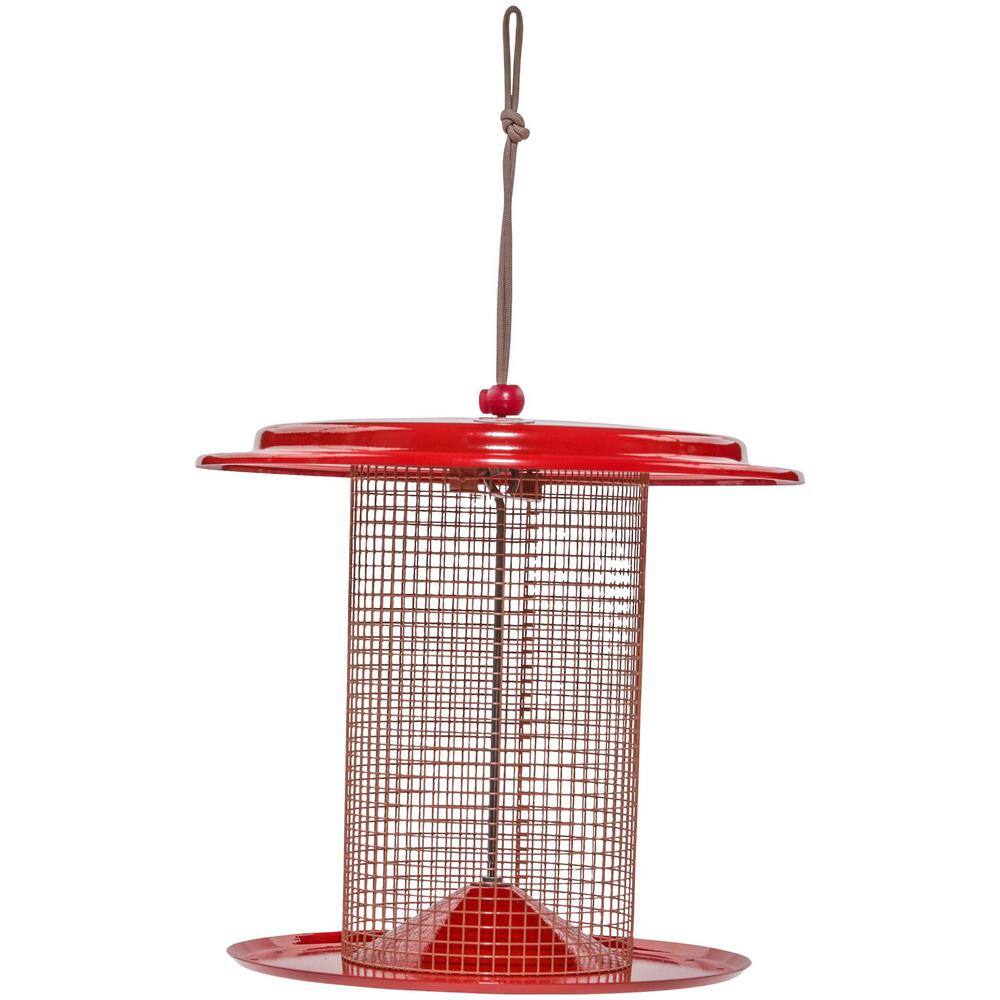 Birds Choice Sunflower Seed Bird Feeder Color Pop Collection in Red and ...