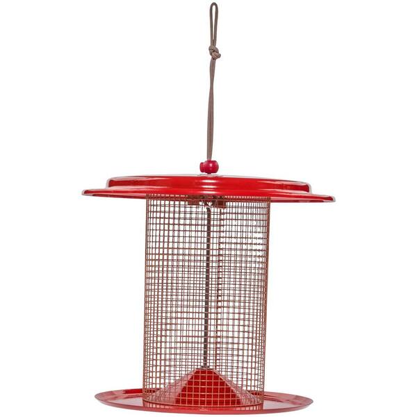 Birds Choice Sunflower Seed Bird Feeder Color Pop Collection in Red and ...