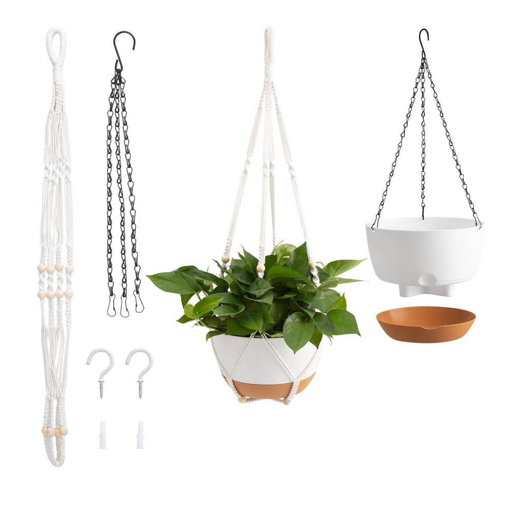 Home Depot Hanging Plants