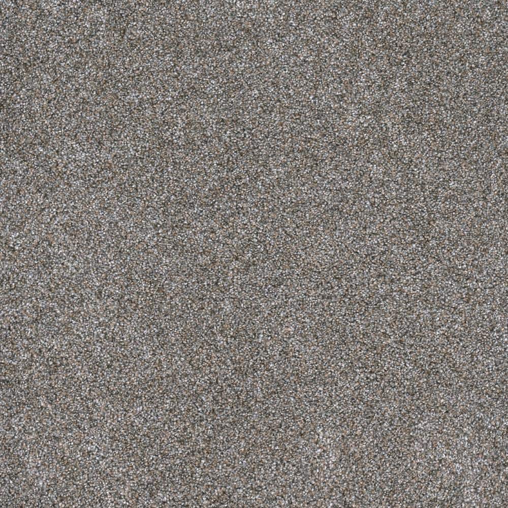 Lifeproof 8 in. x 8 in. Texture Carpet Sample - Hazelton III - Color ...