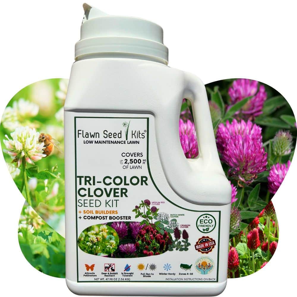 Flawn Seed Kits Tricolor Clover Flower Lawn Seed Kit, Easy Spread ...
