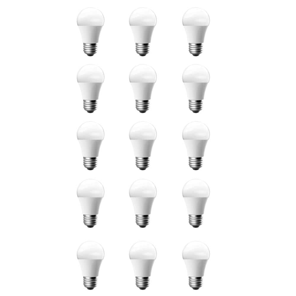 EcoSmart 60-Watt Equivalent G16.5 Dimmable Frosted LED Light Bulb ...