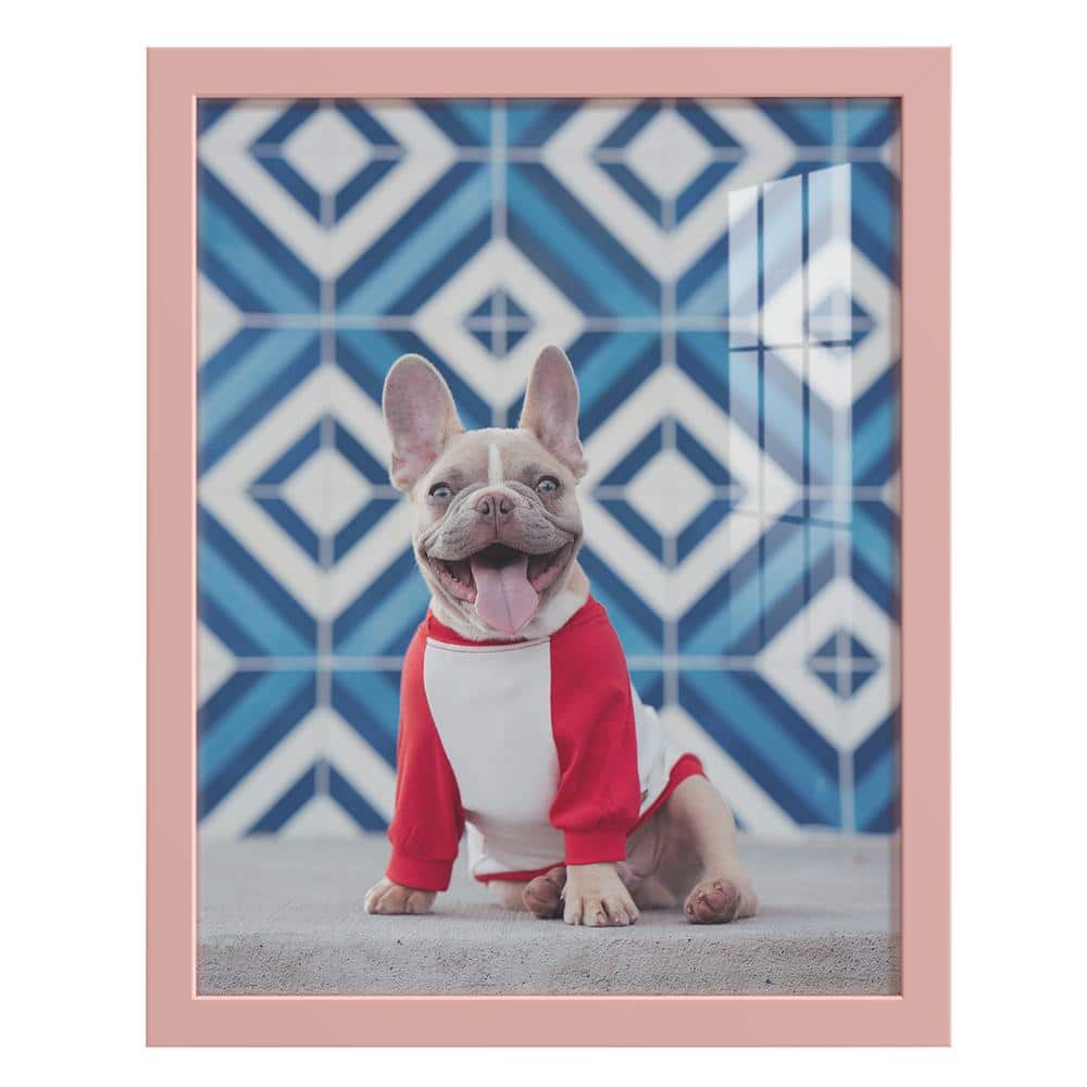 Wexford Home Modern 11 in. x 14 in. Pink Picture Frame WF012G - The ...