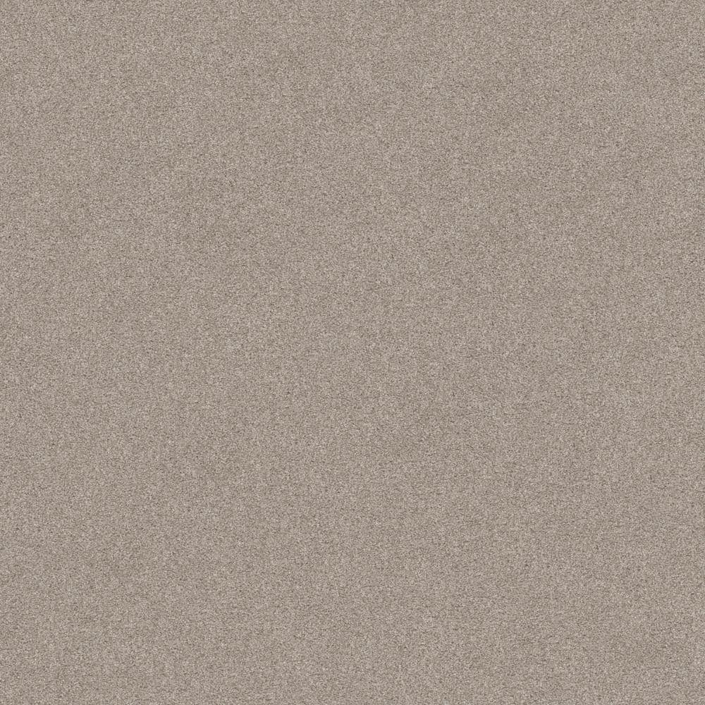 Lifeproof Coastal Charm II Color Tawny Beige 56 oz. Nylon Texture ...