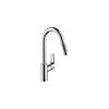 Hansgrohe Focus Single-Handle Pull-Down Sprayer Kitchen Faucet in ...