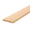 1 in. x 6 in. x 8 ft. Gorman ESLP Tongue and Groove WP4/116 Common ...