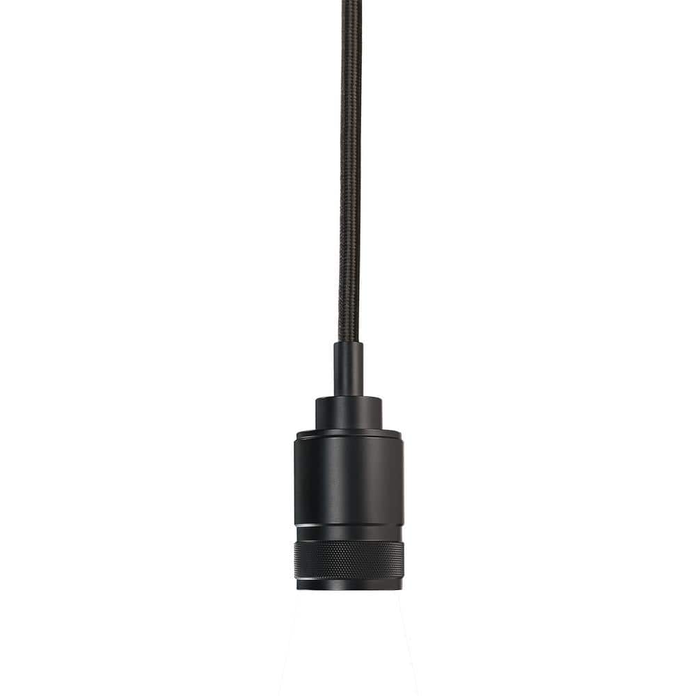 Feit Electric 60-Watt 1-Light Socket Black Finish Industrial Style ...