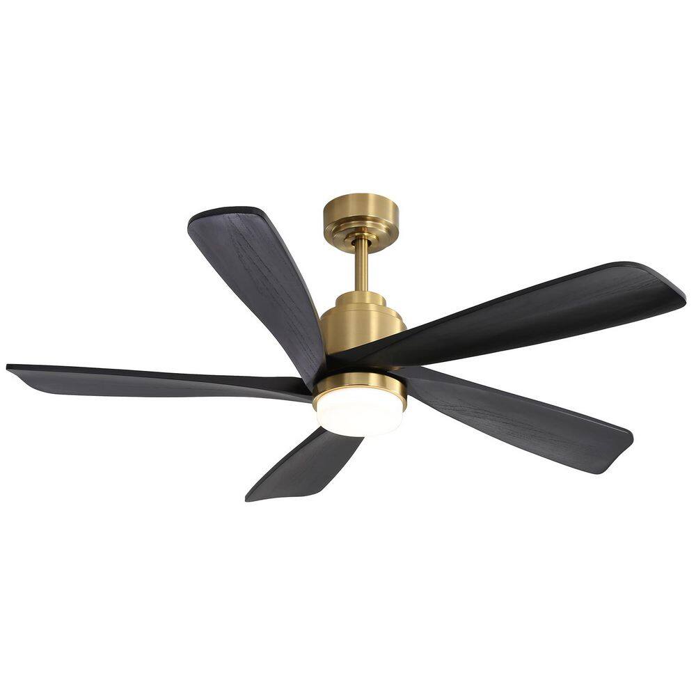 TaiMei Flux 52 in. Gold Black Downrod Standard Ceiling Fan with ...