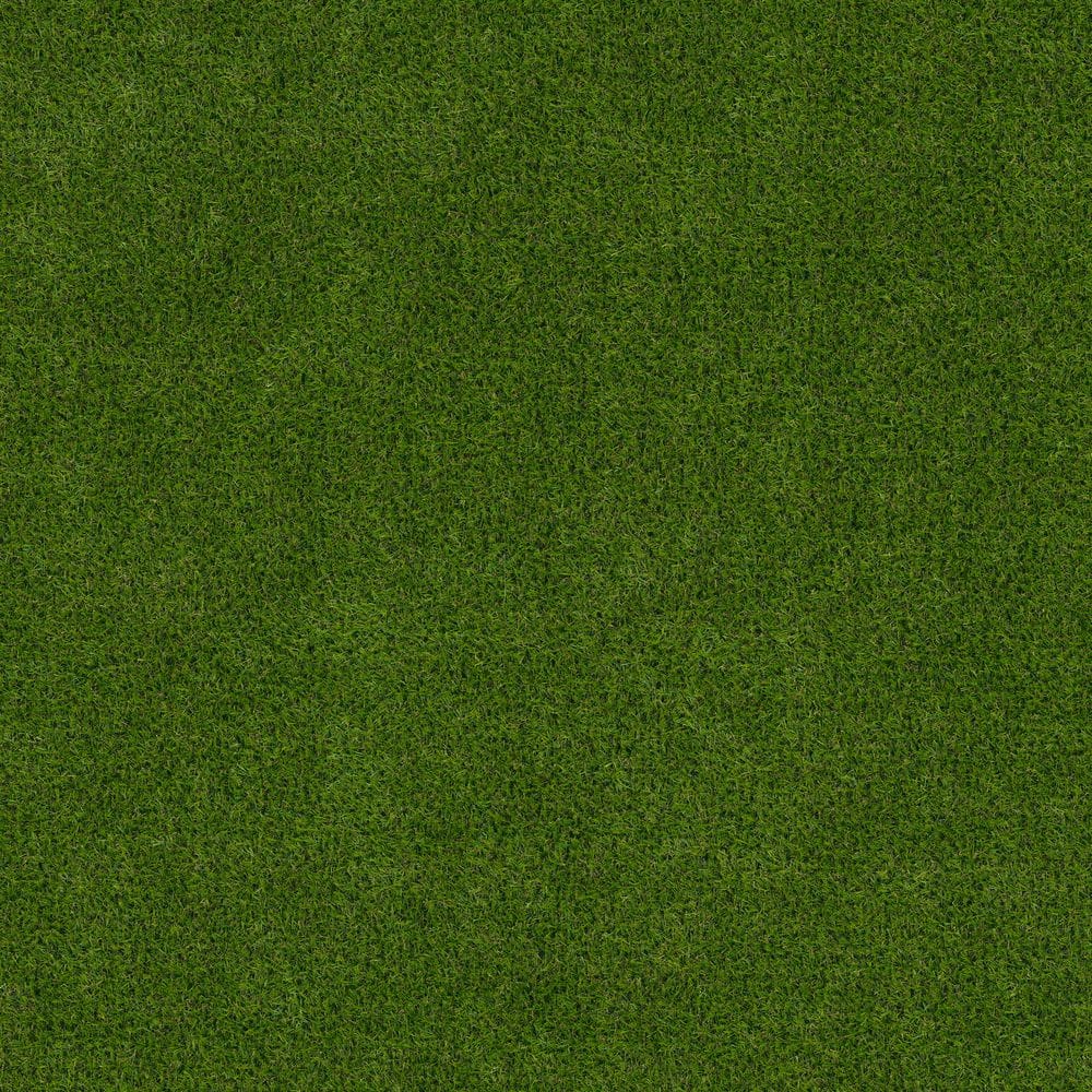 TrafficMaster Emerald Green Artificial Grass Turf Rug 6 ft. x 8 ft. Pre ...