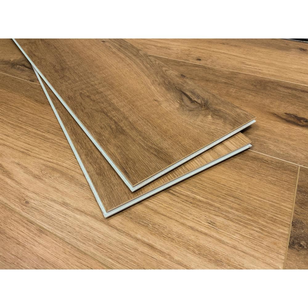 Montserrat Take Home Sample - Paragon Caliber Brown 20 MIL x 9 in. W x ...