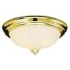 Design House 2-Light Polished Brass Ceiling Fixture with Frosted Ribbed ...