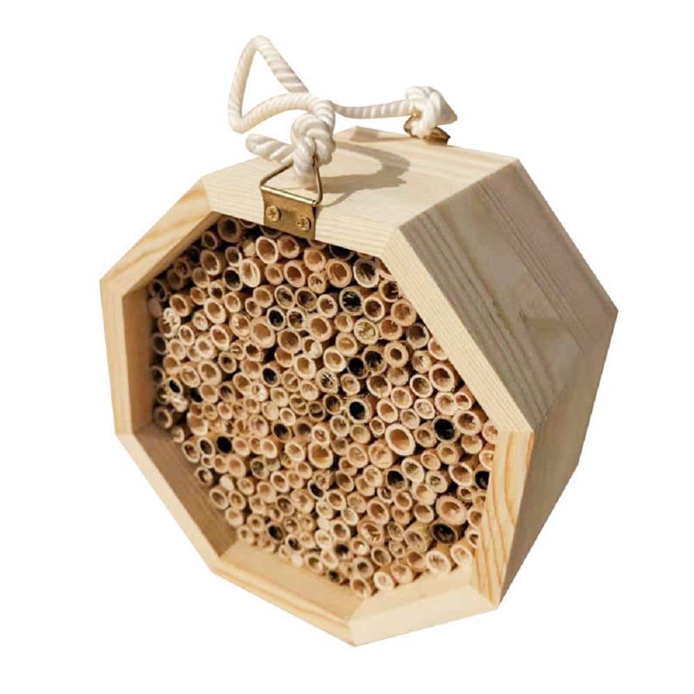 1-Peices Garden House Tube Nest for Honeybee Insect Butterfly Carpenter ...