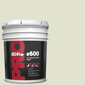 BEHR PRO 1 gal. #400E-2 Turtle Dove Low Luster Exterior Paint PR62001 ...