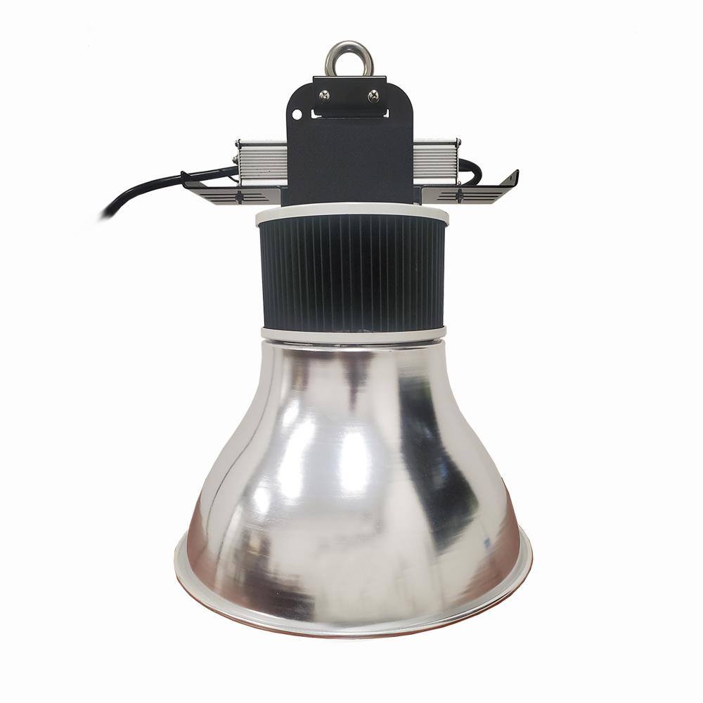 ENERGETIC LIGHTING 13.8 in. 250-Watt Equivalent Integrated LED Dimmable ...