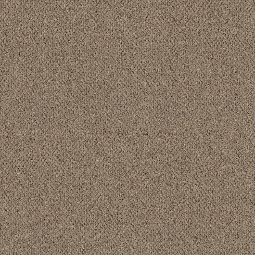 Lifeproof Corben - Warm Clay - Brown 32.7 oz. Nylon Pattern Installed ...