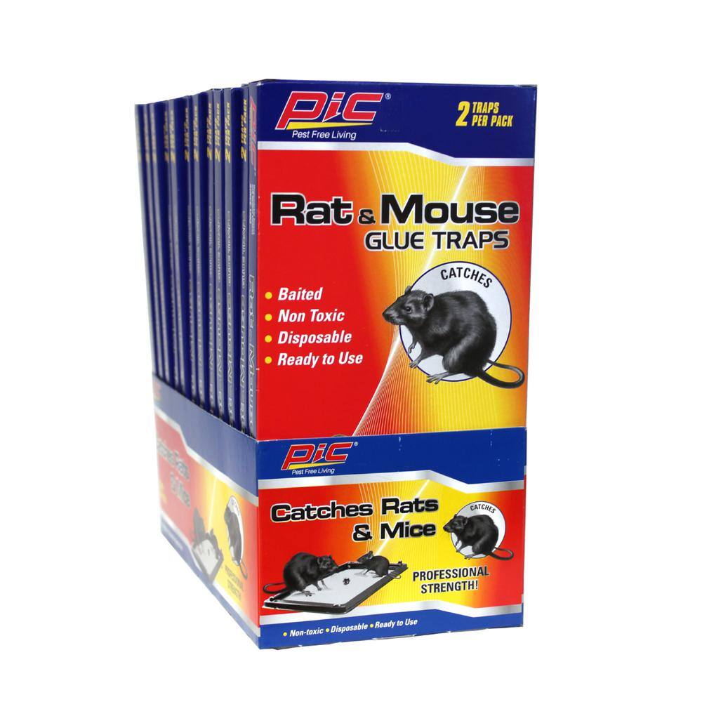 PIC Baited Rat And Mice Glue Traps 24 Pack GT 2 H The Home Depot