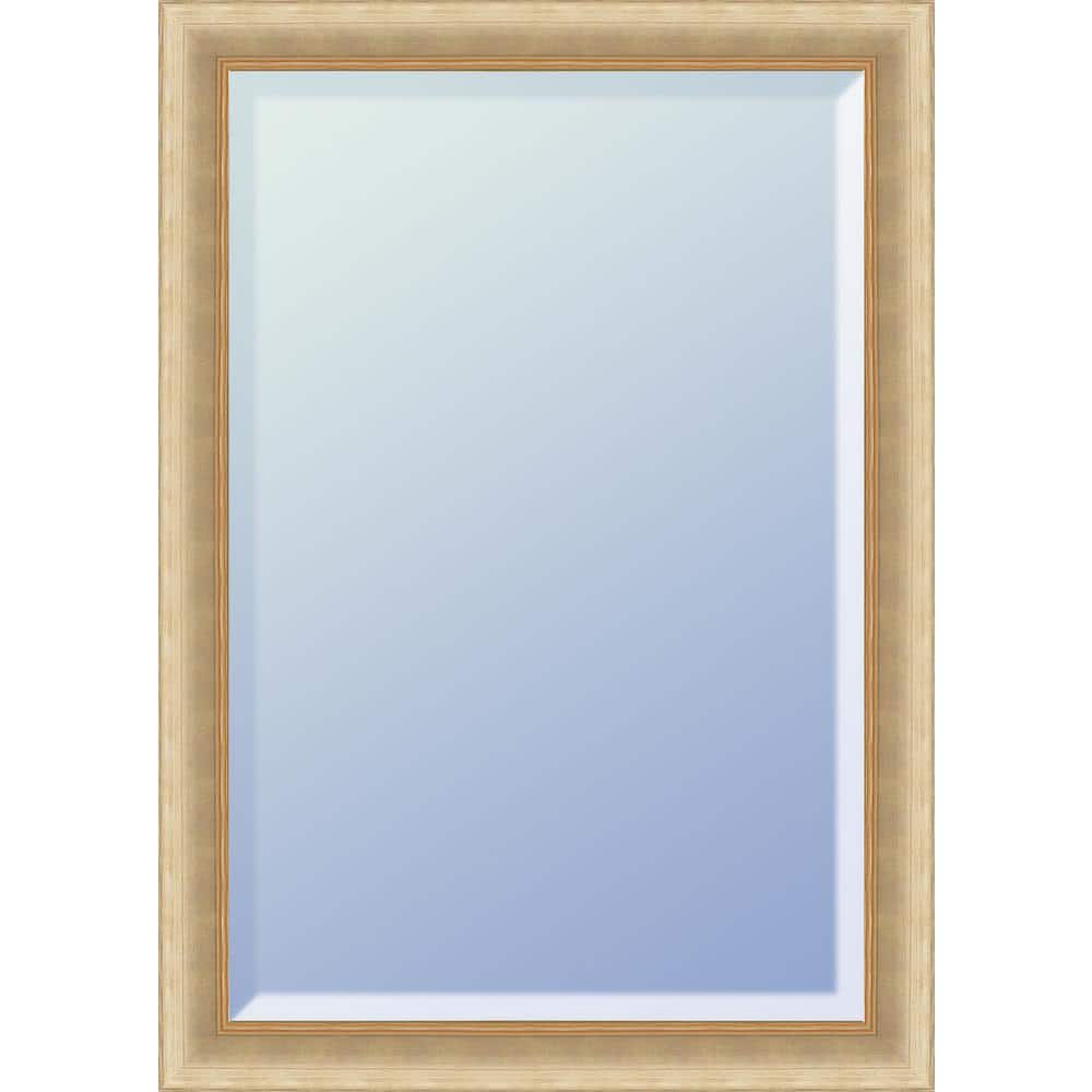 LA PASTICHE 36 in. W x 24 in. H Wood Andover Champagne Gold Framed ...