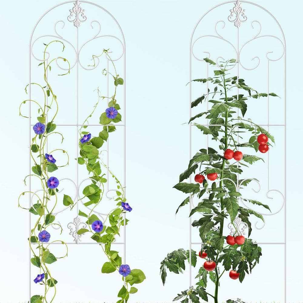 FAWEY TRED INC 60 in. Iron Garden Trellis (Set of 2) TG10075 - The Home ...